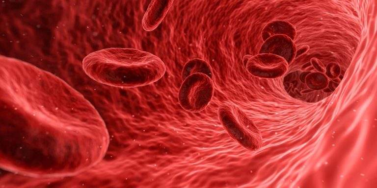 Neutrofili: cosa sono e cosa fare quando sono bassi - Sanioggi.it