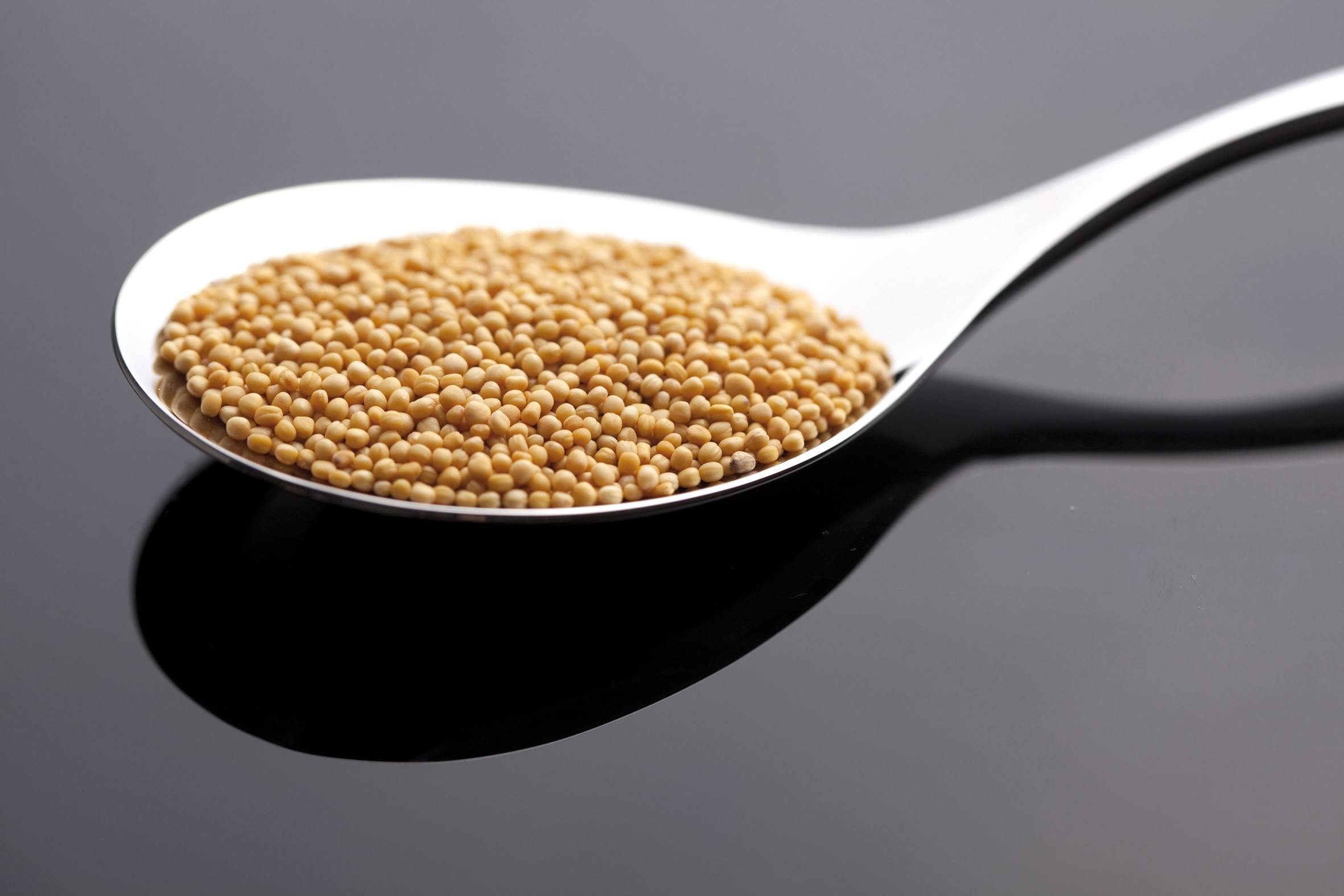 Semi di senape: proprietà, benefici e usi - Sanioggi.it