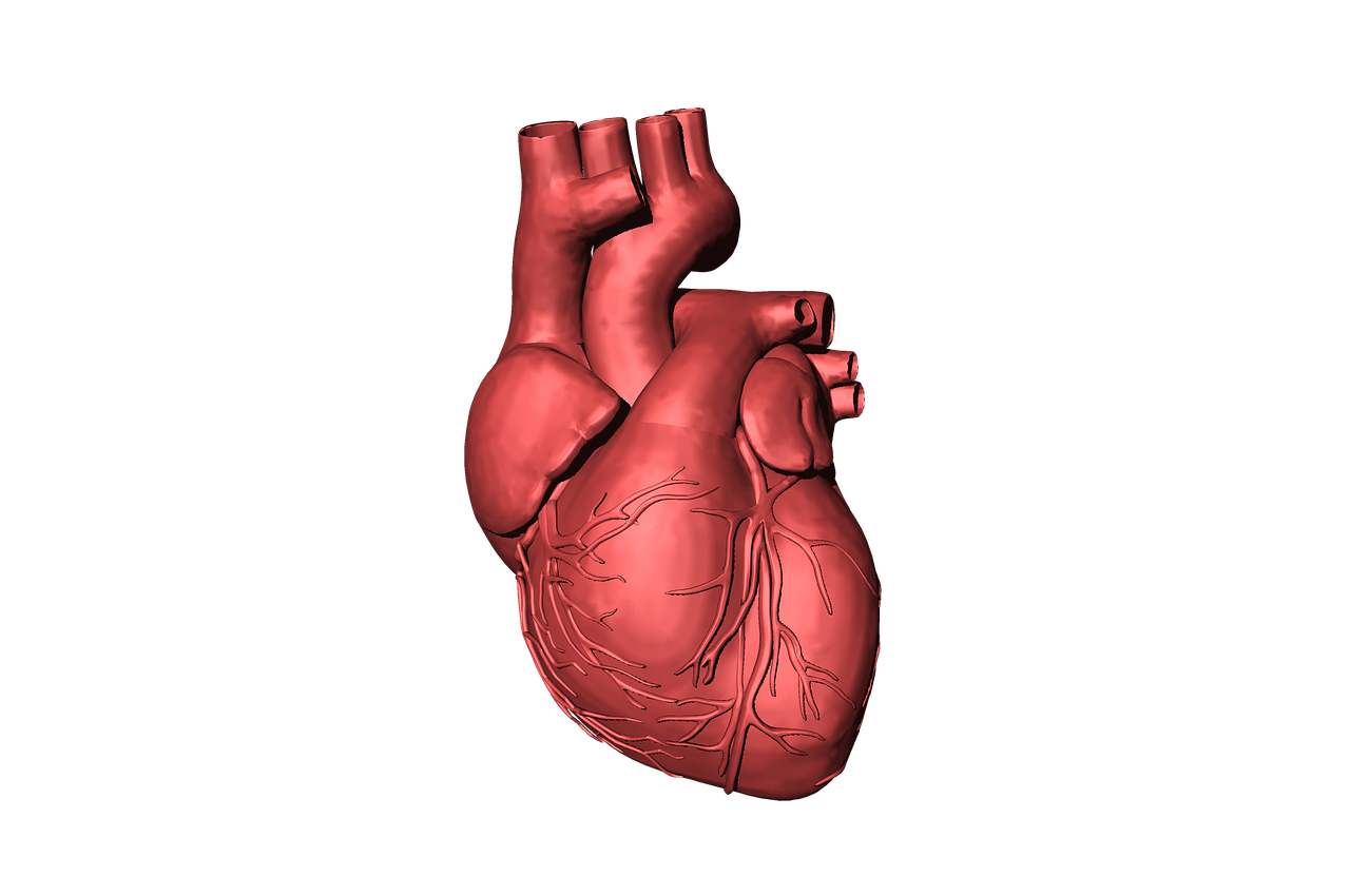 Asma cardiaco: cause, sintomi iniziali, esami, linee guida e cure